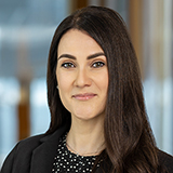 The Road Ahead…, The Oath – Publications