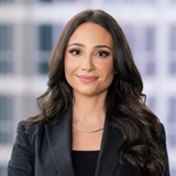 Liya Levin – Our Lawyers and Professionals