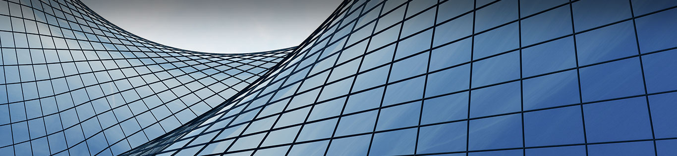 Professional Team | Morgan Lewis