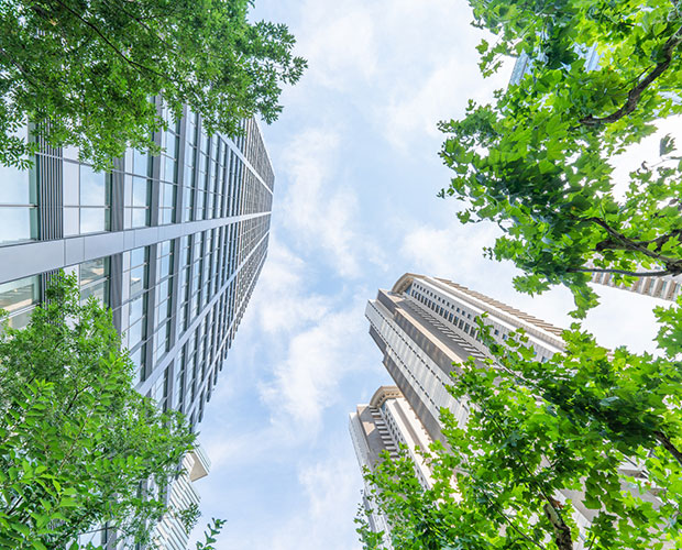 How To Build an ESG Practice Amid Backlash – News | Morgan Lewis