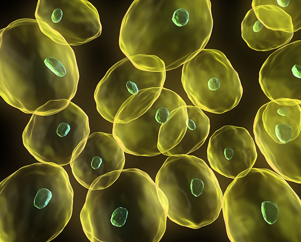 Morgan Lewis Advises Biopharmaceutical Formulation Technology Company ...