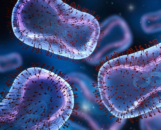 How the Mpox Outbreak Differs from the COVID-19 Pandemic: A Guide for ...